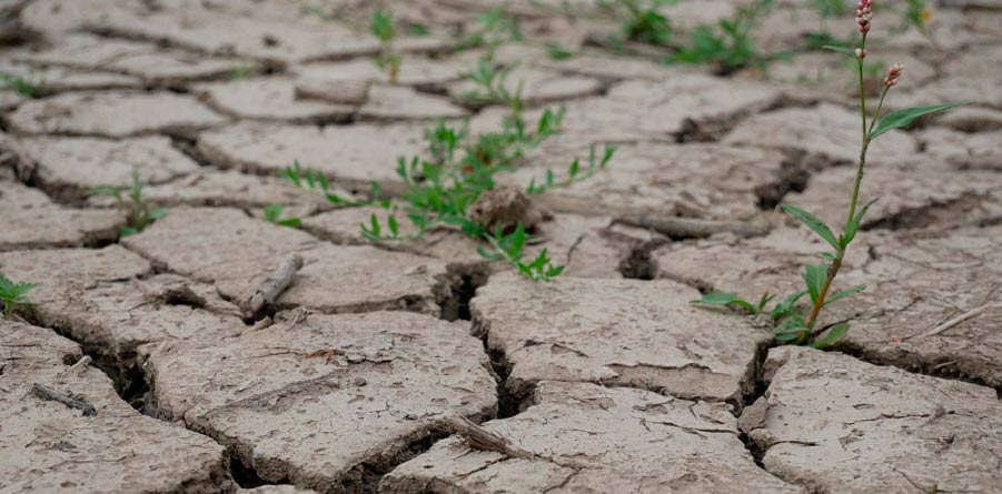 Pueblo sin agua, pueblo muerto | UAH - Universidad Alberto Hurtado